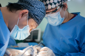 Major Types of Vascular Surgery - Top Varicose Vein Treatment NYC